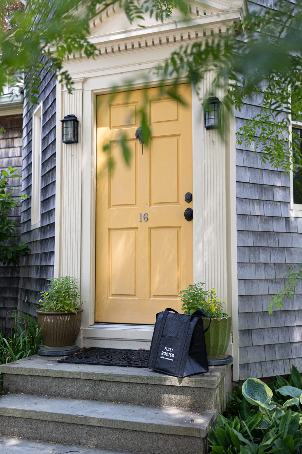 Fully Rooted – Nourish Your Body